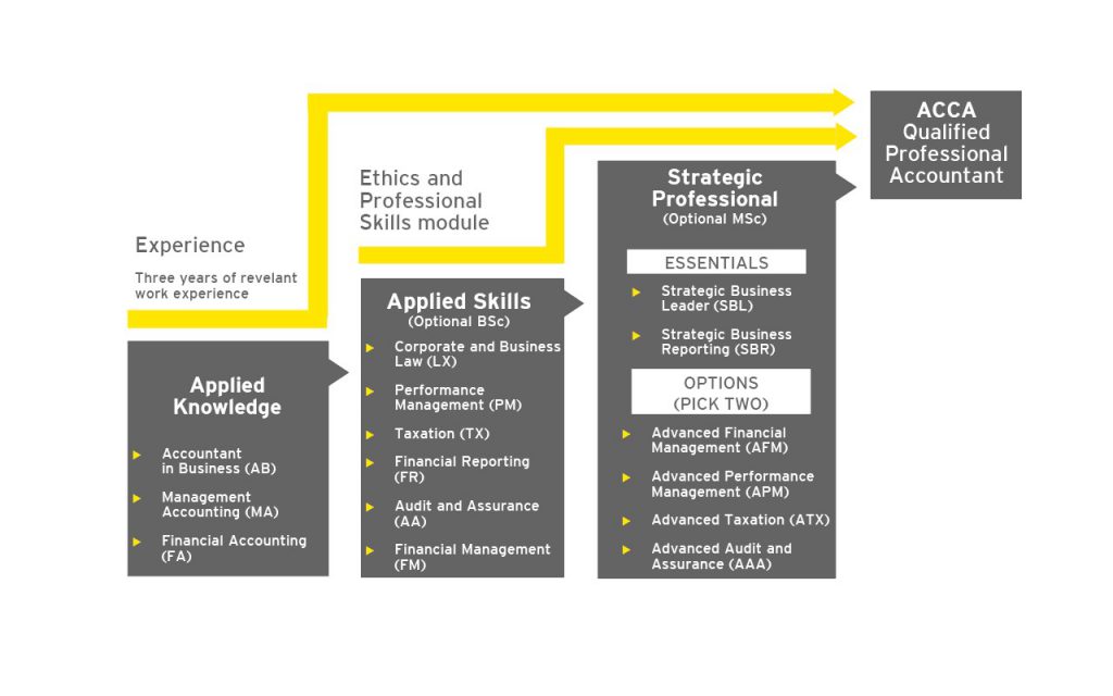 ACCA – Strategic Professional – kursy otwarte – EY Academy of Business
